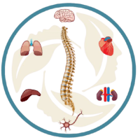 ATYPICAL FEMUR FRACTURE (AFF)